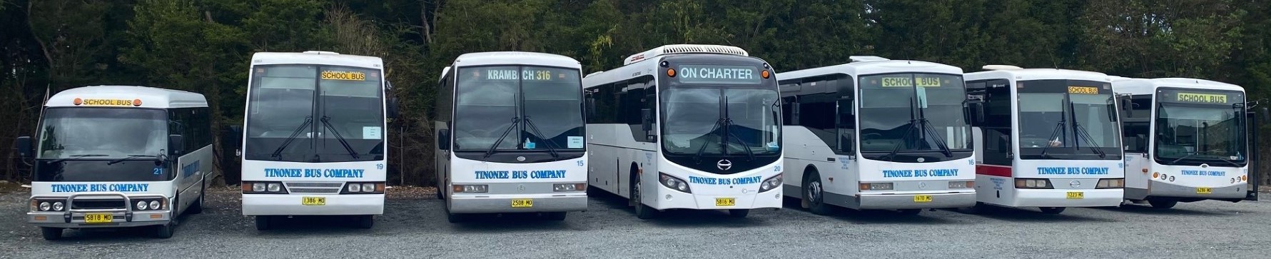 About - Tinonee Bus Company
